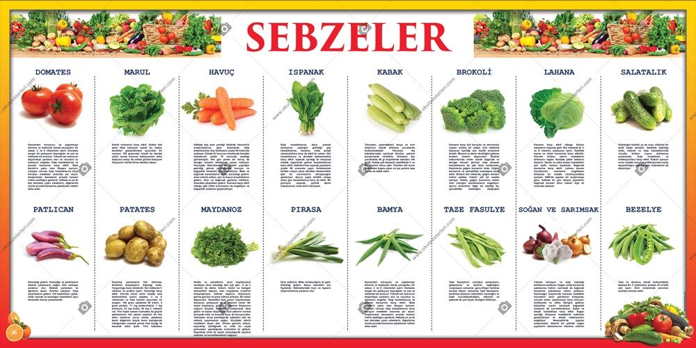 Sebzeler Posteri | okulkapigiydirme.net