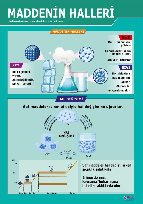 Maddenin Halleri Afişi | okulkapigiydirme.net